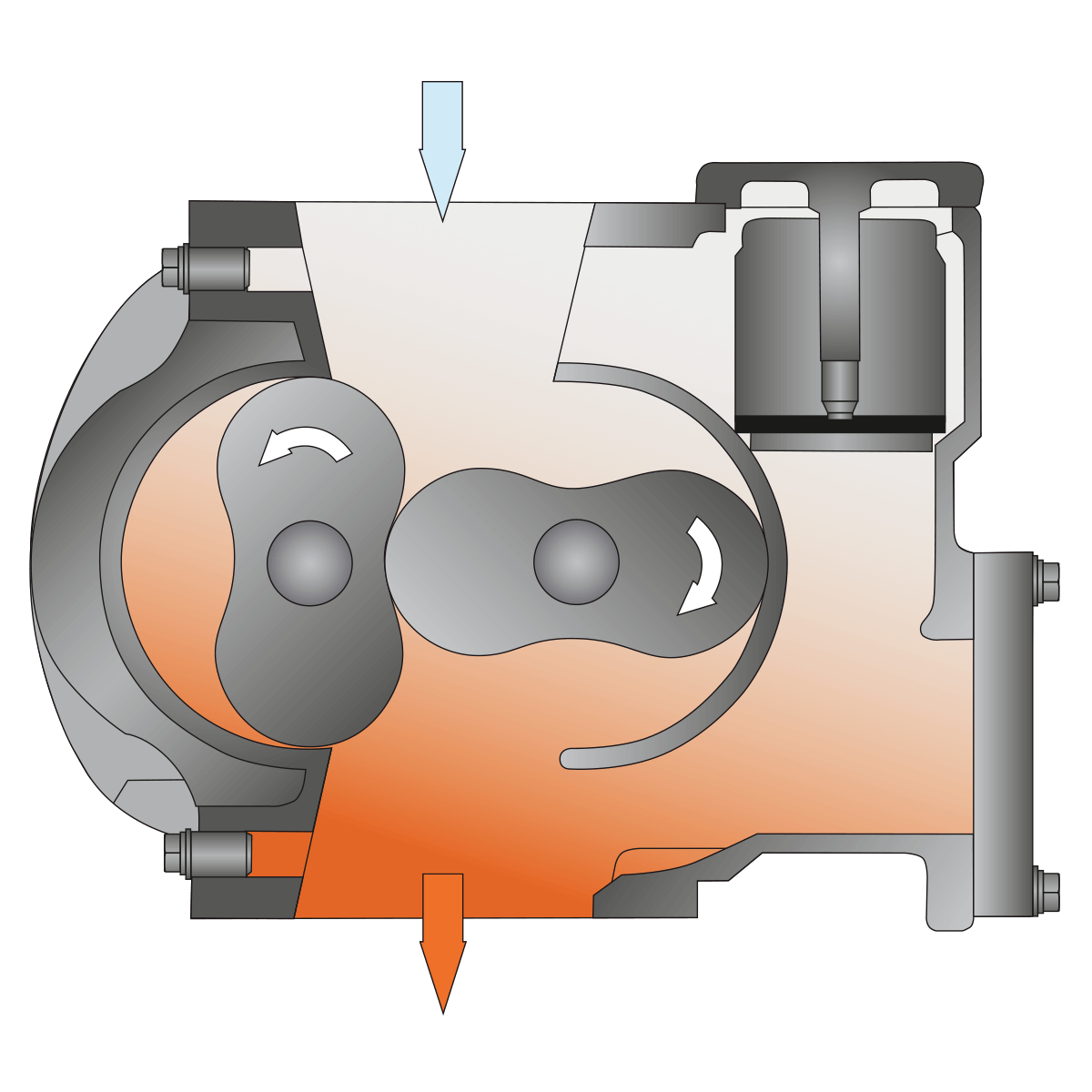 BUSCH PANDA / PUMA Vacuum Pump | Code